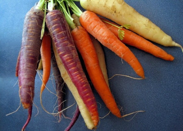 Herbed rainbow carrots - Carol Cassara