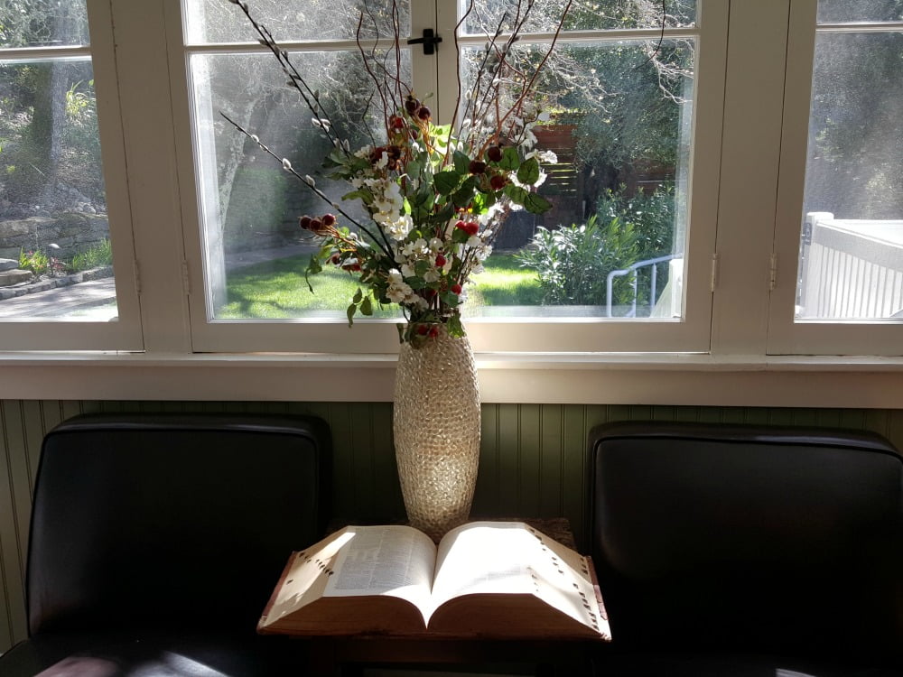 How to identify life patterns - Carol Cassara