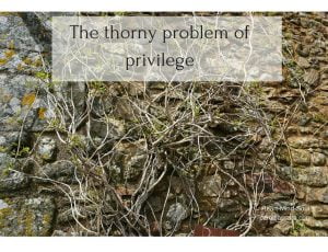 What to do about privilege - Carol Cassara