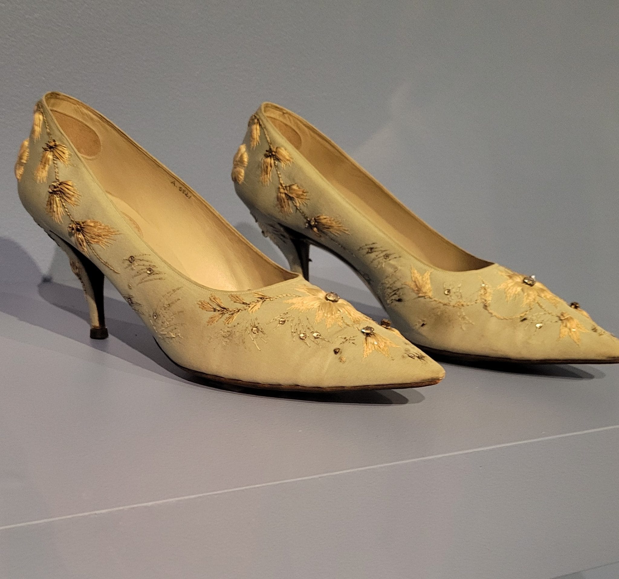 A century of shoes - Carol Cassara
