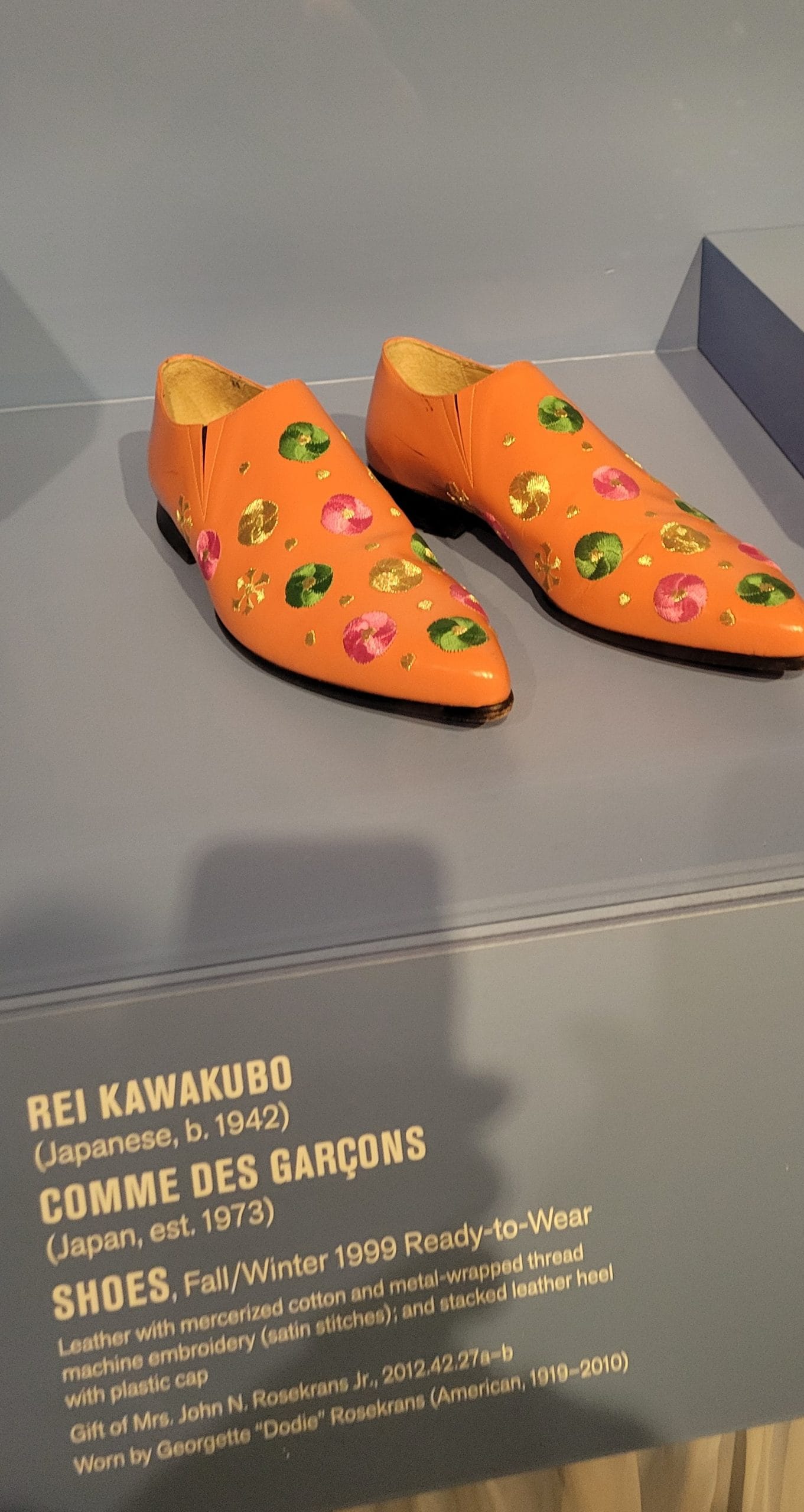 A century of shoes - Carol Cassara