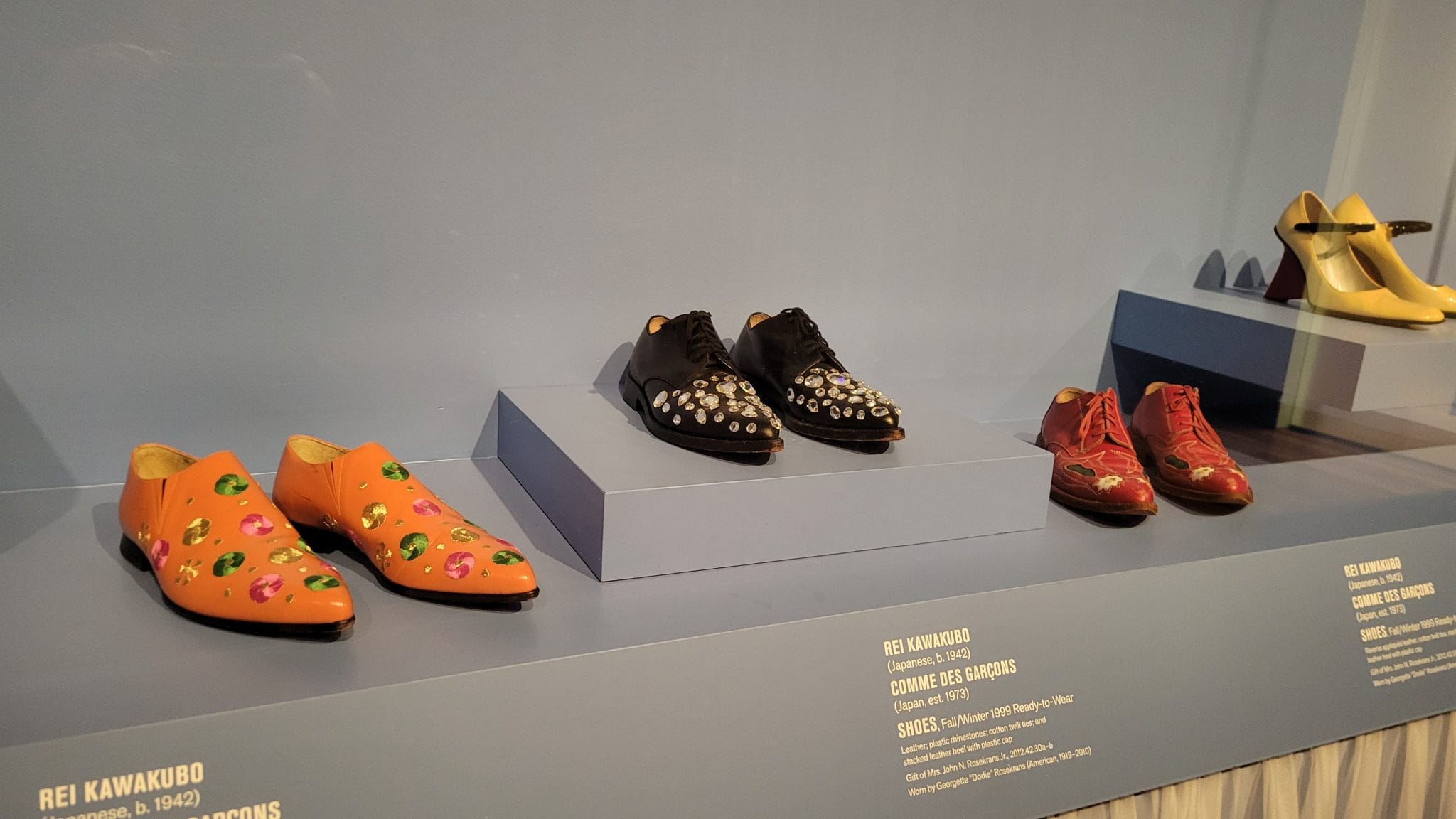 A century of shoes - Carol Cassara