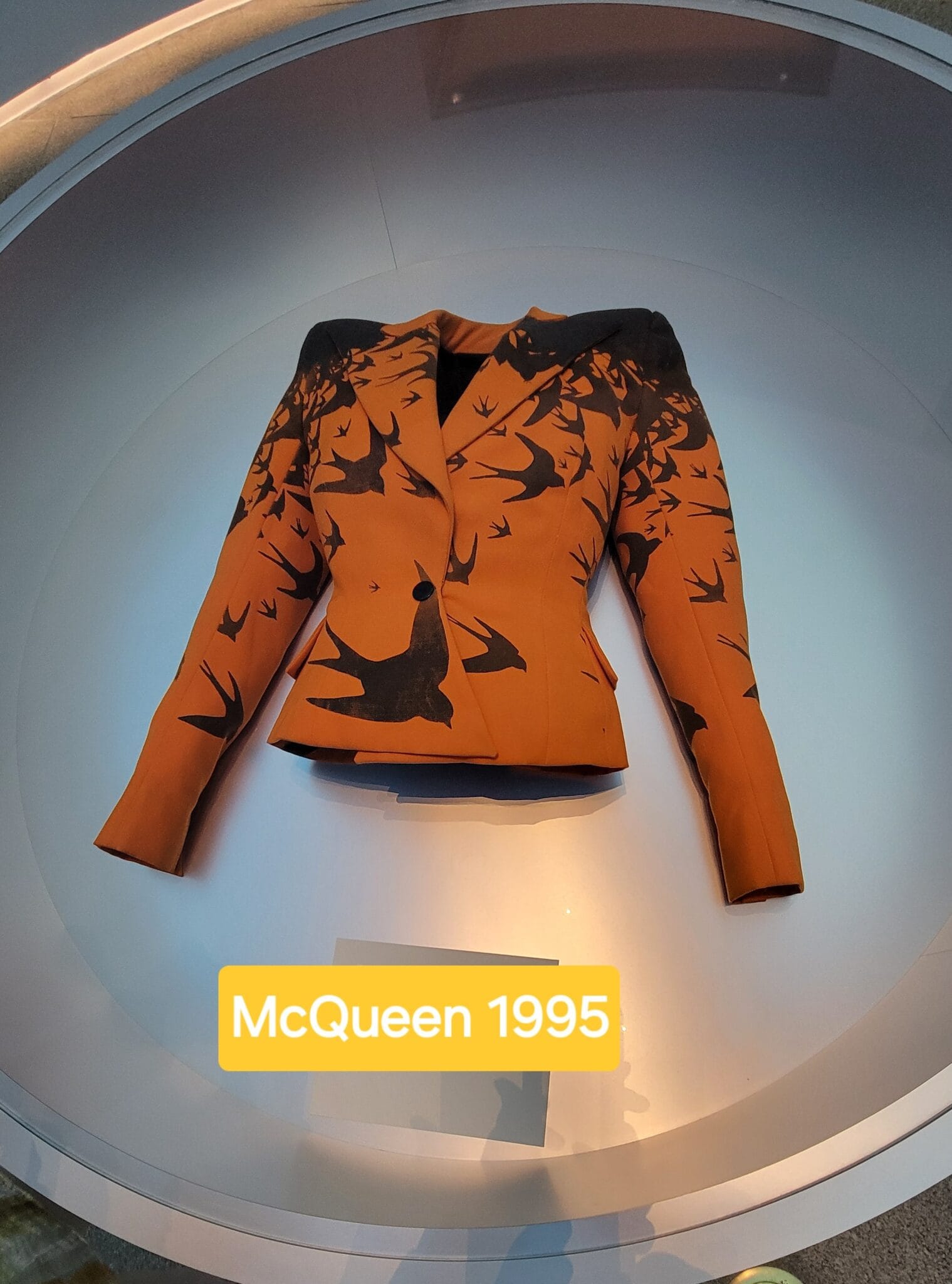 Historical fashion made my day - Carol Cassara